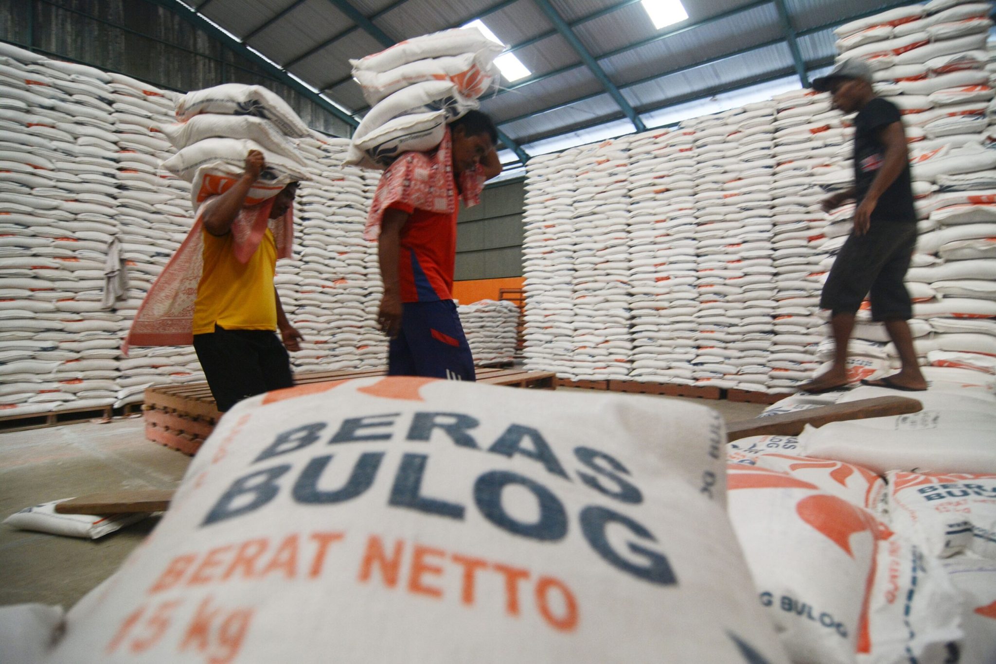 Bulog Sumbar Jamin Stok Beras Aman Hingga Akhir 2026 - Klikpadang.com